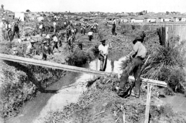 The Great Depression of Australia Felix Franes timeline | Timetoast ...